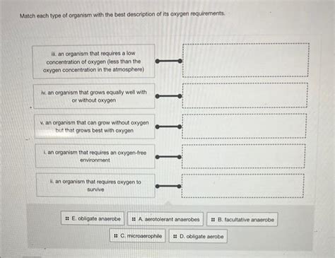 Solved Match Each Type Of Organism With The Best Description