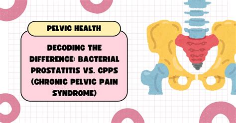 Difference Between Bacterial Prostatitis Vs Cpps Rebalance Pt