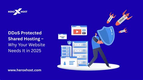Ddos Protected Shared Hosting Why Your Website Needs It In 2025