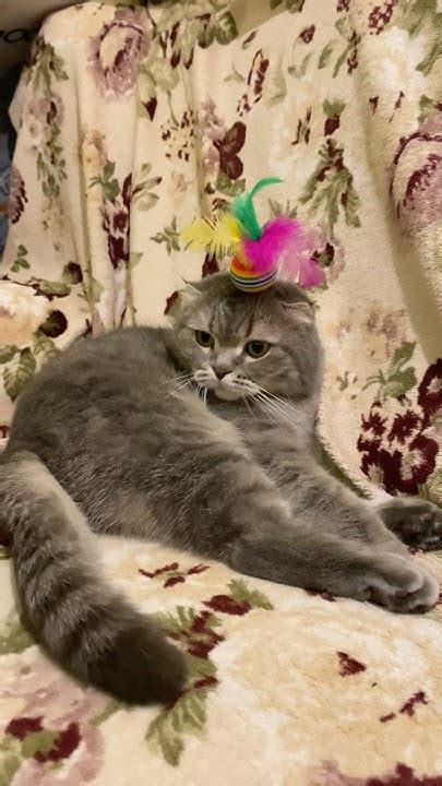 Как прекрасен этот мир посмотри Youtube