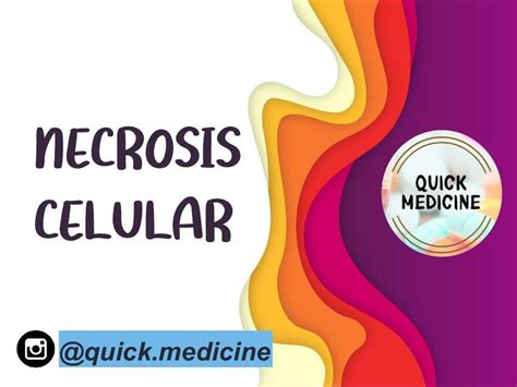 Necrosis Celular Y Patrones De Necrosis Celular Quick Medicine Udocz