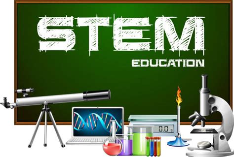 Best Stem Illustrations Royalty Free Vector Graphics And Clip Art Istock