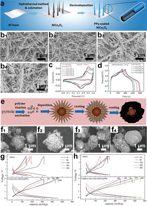 A Nico2o4 Ppy Core Shell Nanowire Preparation Process B1 B4 Sem Download Scientific