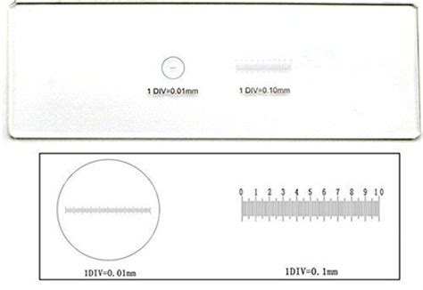 Microscope Stage Micrometer Calibration Slide India Ubuy