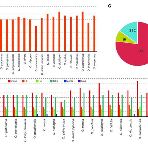 Analysis Of Perfect Simple Sequence Repeats Ssrs In 18 Oryza