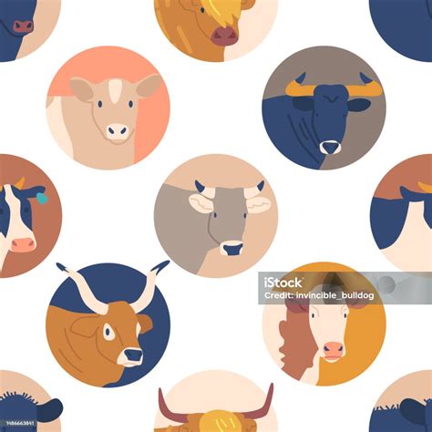 둥근 아이콘 안에 소와 황소 머리를 특징으로 하는 이음매 없는 패턴 디자인은 다양한 색상을 통합합니다 검은색에 대한 스톡 벡터 아트 및 기타 이미지 Istock