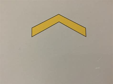 JROTC Ranks Flashcards Quizlet