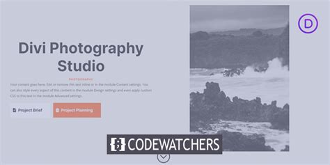 Hoe Maak Je Een Divi Fullwidth Header Op Volledig Scherm Codewatchers