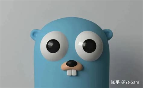 开发时长一年半golang工程师应该具备什么样的技术能力？三本能做golang开发吗 Csdn博客