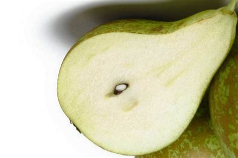 Awas Tertelan 5 Biji Buah Ini Ternyata Beracun Banget Lho Cewekbanget