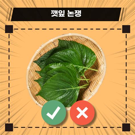깻잎 논쟁 시리즈 커플 논쟁 주제 모음집 네이버 블로그