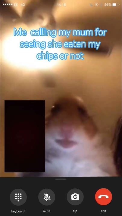 Hey Hey I Want To Call My Mum Youtube