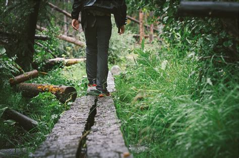 How To Begin Your Herbalist Training
