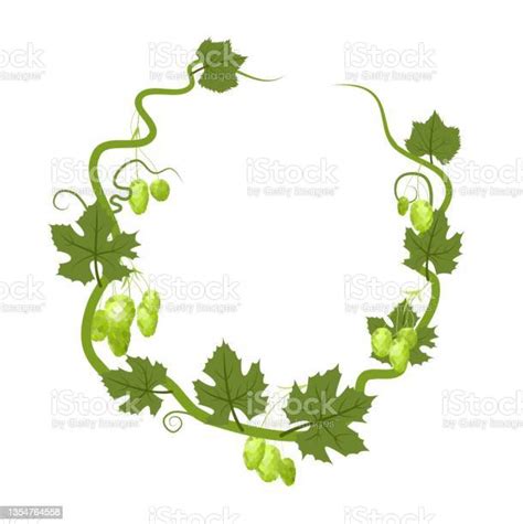 홉라운드 프레임 울창한 잎과 콘이 있는 가지 처지는 잎으로 촬영합니다 야생 자연 텍스트가 있는 플랫 스타일 일러스트레이션입니다 흰색으로 격리됩니다 벡터 가을에 대한 스톡