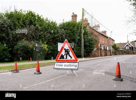 Tree Cutting Safety Sign And Orange Cones Blocking Off Road To Keep The
