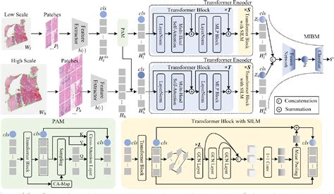 figure 1 from mg trans multi scale graph transformer with information