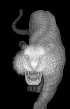 Grayscale CNC Router Patterns Bing Images Grayscale Grayscale Art Grayscale Image