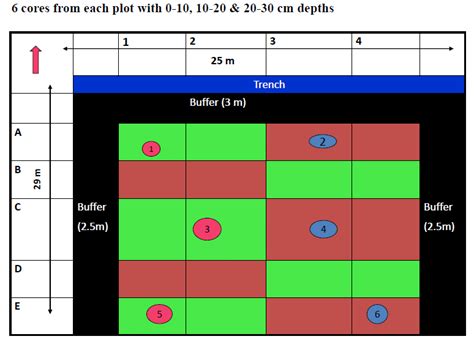 Showing The 6 Replicate Samples Taken From Each Research Plot In The