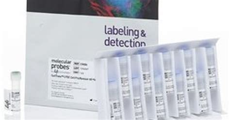 Invitrogen™ Celltrace™ Cfse Cell Proliferation Kit Reviews