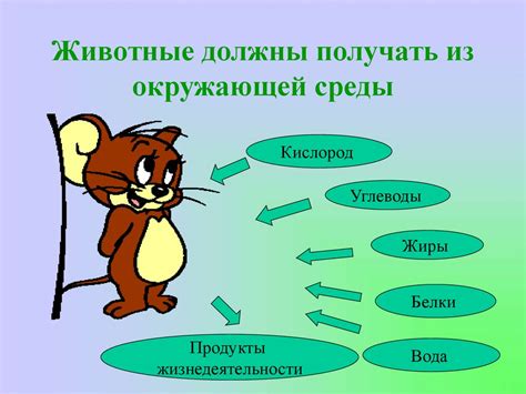 Обмен веществ и энергии 6 класс Online Presentation