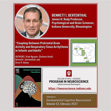 Coupling Between Prefrontal Brain Activity And Respiratory Sinus Arrhythmia In Infants And