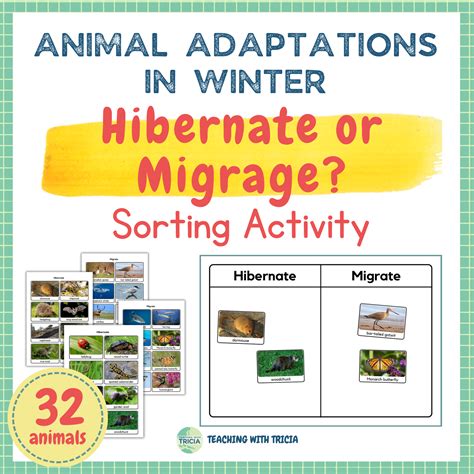 Animal Adaptations In Winter Hibernate Or Migrate Sorting For Winter