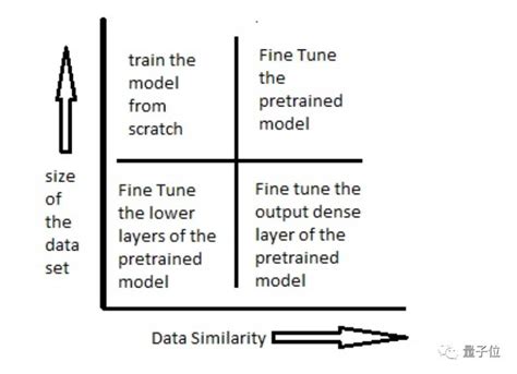 使用微调预训练模型迁移学习微调的预训练模型应该如何使用 Csdn博客