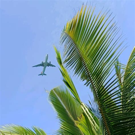 为何城市总比郊区热？百瑞赢解析热岛效应的成因 热量 江苏 发挥作用