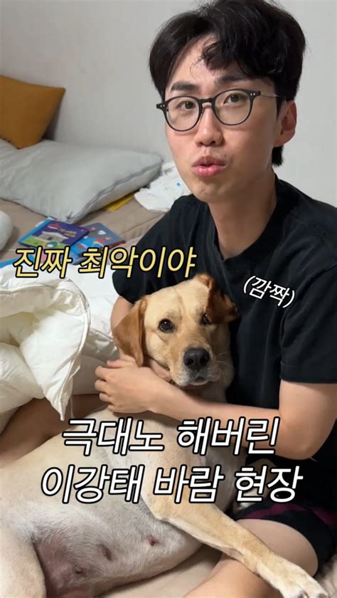 K아빠 이강태 강태 품에서 구해 주세요 K 아빠 와 아기 임보중 코숏 아기고양이 고양이입양 Instagram