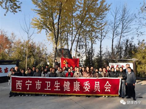 全市卫生健康系统推动主题教育扎实有效开展 服务 工作 流程