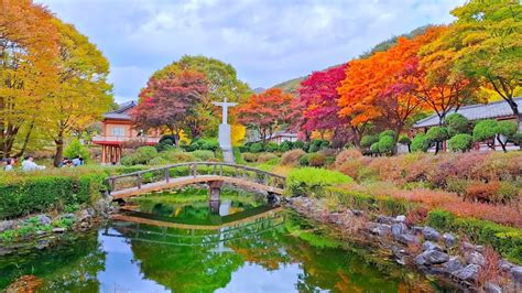 가을단풍이 예쁜곳 배론성지 제천 오색단풍 Youtube