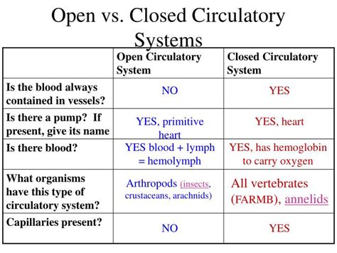 How Open Vs Closed Circulatory Systems Function