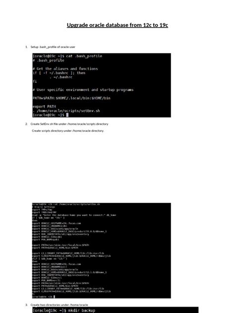 Upgradefrom12cto19c Pdf Compiler Oracle Database