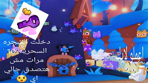 Pet Simulator 99 دخلت الغرفه السريه 10 مرات ومش هتصدق جالي ايه Youtube