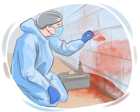 Definition And Meaning Of Forensics Langeek