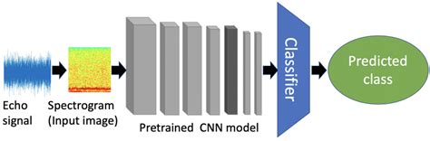 Classification Stage Download Scientific Diagram