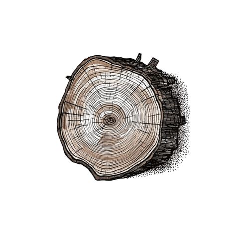 Premium Vector A Drawing Of A Tree Trunk With A Textured Section Of The Trunk