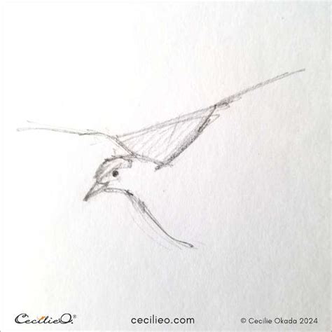 How To Draw A Bird In Flight