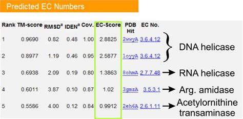 Predicting Protein Structure And Function With I Tasser Protocol