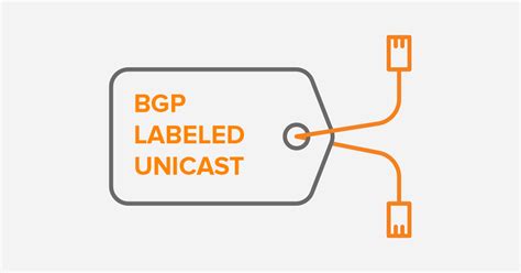 Bgp Labeled Unicast Bgp Lu Noction