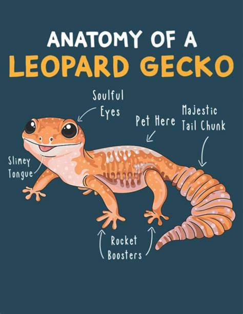 Leopard Gecko Anatomy Anatomy Of A Leopard Gecko Funny Gecko Mom