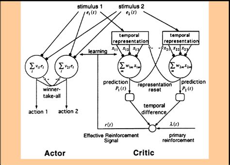 3 2 Actor Critic Model Using A Temporal Representation Of Stimuli Download Scientific