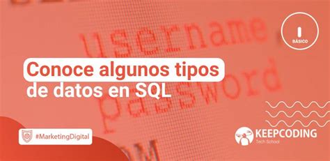 Tipos De Datos En Sql Conoce Cuál Usar En Cada Caso