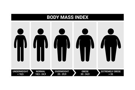 What Is A Healthy Bmi For Women Ethical Inc