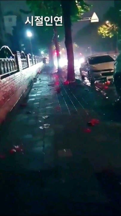 이찬원 시절인연 이찬원 시절인연 비오는날 야경 일상 감성 Youtube