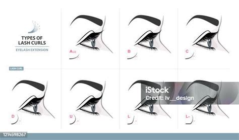 속눈썹 컬의 종류 가장 매력적인 룩을 위한 속눈썹 확장 긴 두꺼운 속눈썹을 가진 여자의 눈 측면 뷰 매크로 선택적 초점 가이드 인포그래픽 벡터 일러스트레이션 눈 신체 부분에