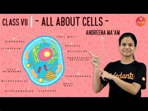Cell Structure And Function Class 7 Know All About Cells 1 Vedantu Video Lecture