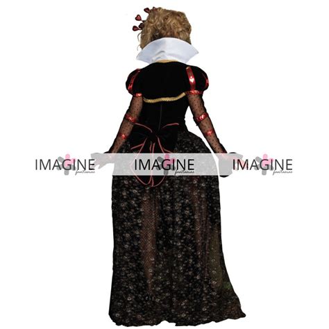Fantasia Rainha De Copas Super Luxo Imagine Fantasias