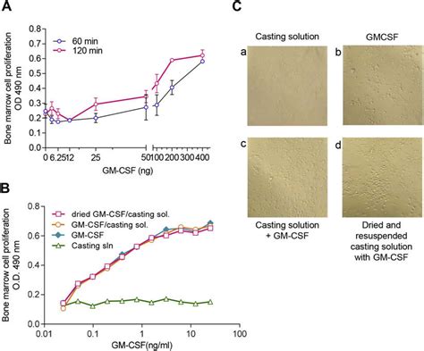 Gm Csf Retains Proliferative Capacity In Bone Marrow Cells Following Mn