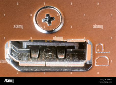 Macro Shot Of A Female Display Port Connector On The Metal Plate Fixated With The Metal Screw